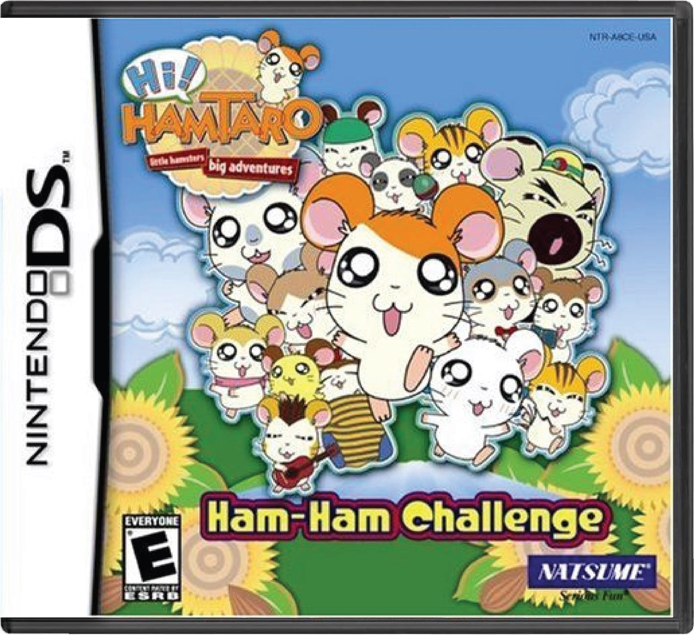 Hi Hamtaro Ham-Ham Challenge for Nintendo DS | TVGC